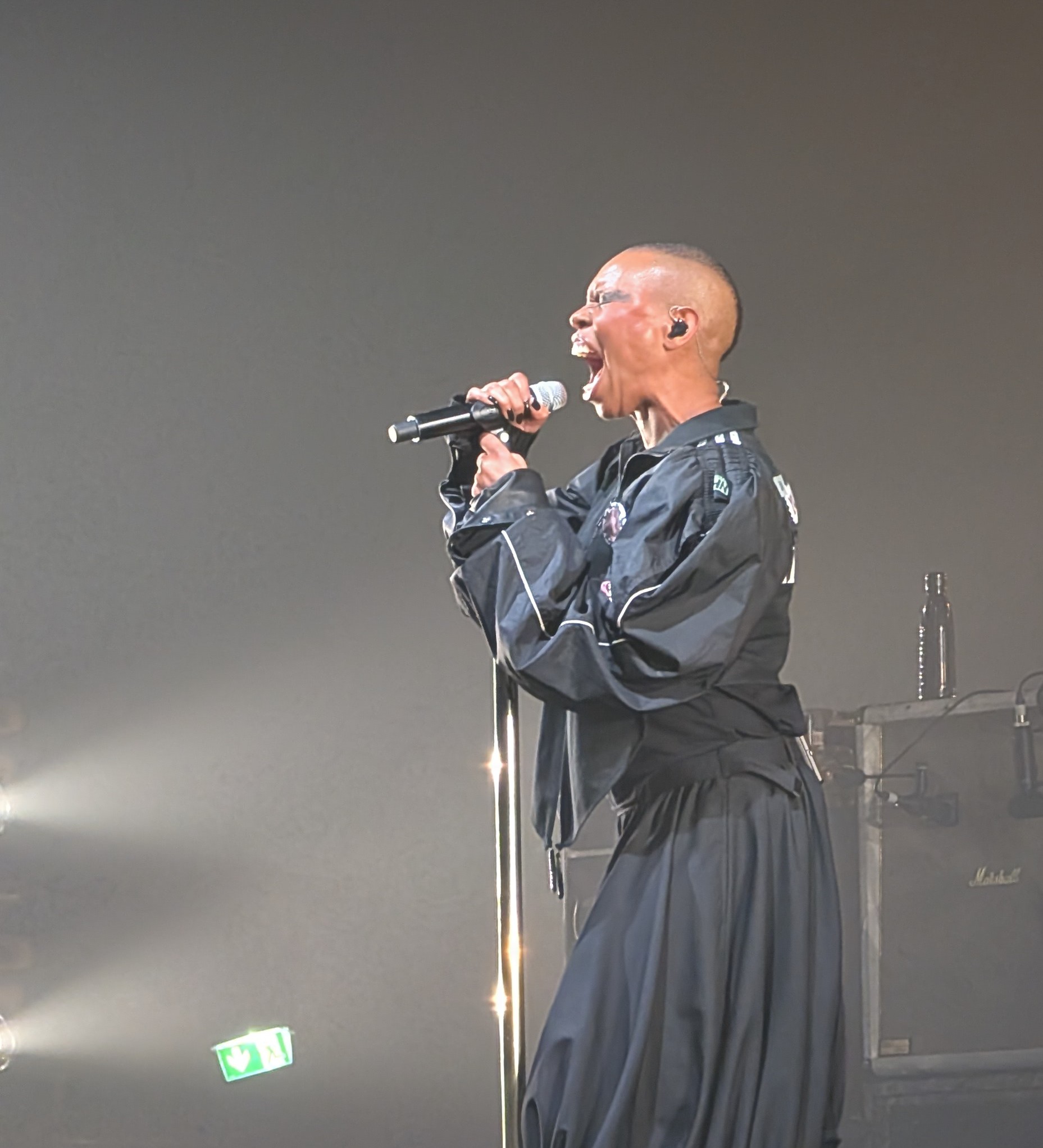 SKUNK Anansie 2025 Live: Mit Spider Makeup ab in die Neunziger