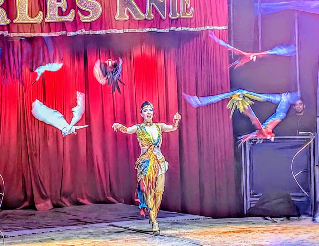 Zirkus Charles Knie Hamburg 2025: Neue Wasser-Show Maßstäbe